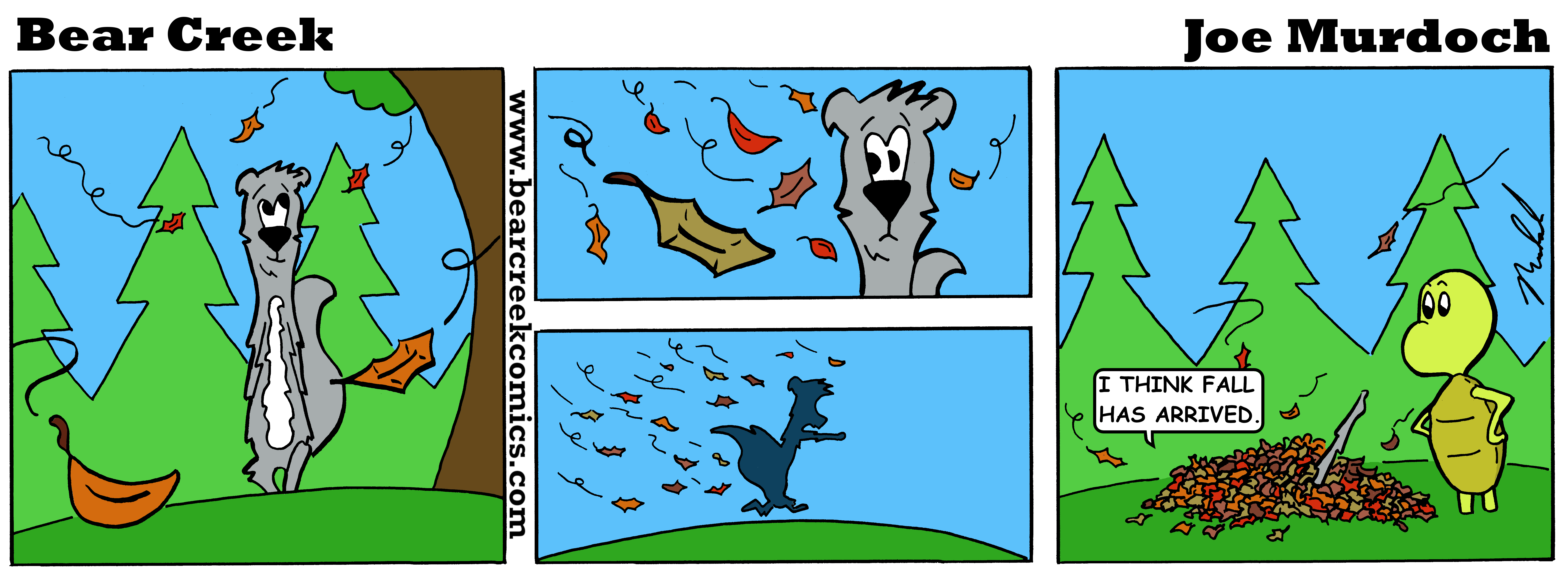 Fall leaves